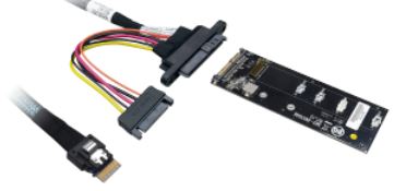 SFF-8654 to SFF-8639 Cable